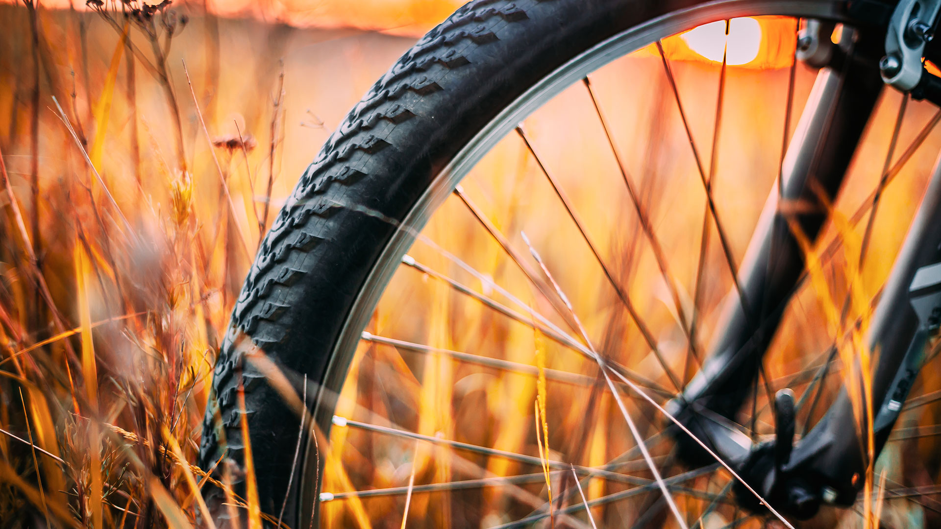 Home - Pedalle